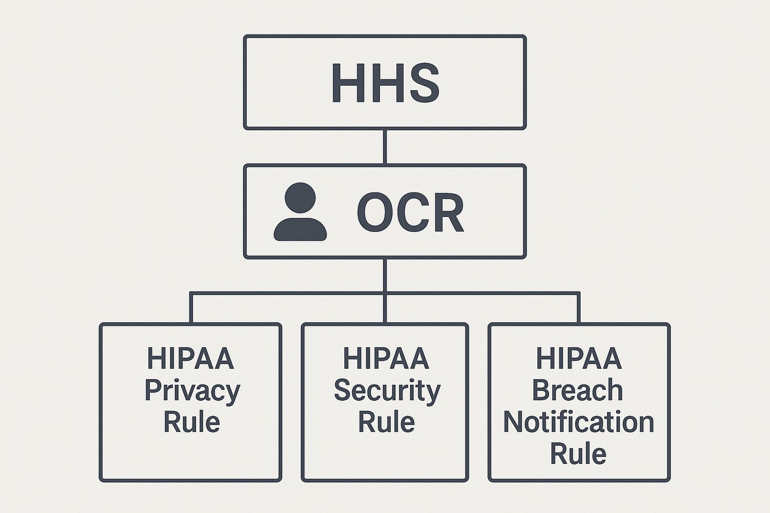 Who Enforces HIPAA? Learn the Key Agencies Now